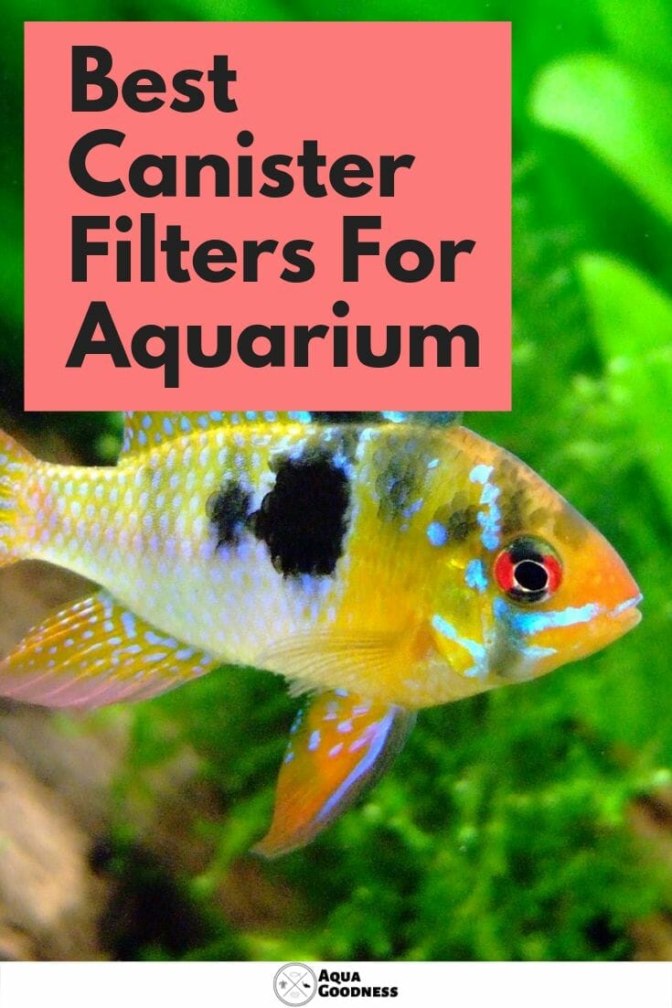 6 Best Canister Filters for Aquarium 2020 (Detailed Review)